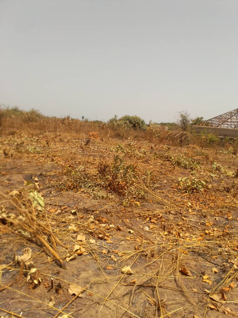 Trawally Estate - Plots